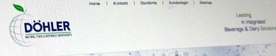 Döhler - Projekte